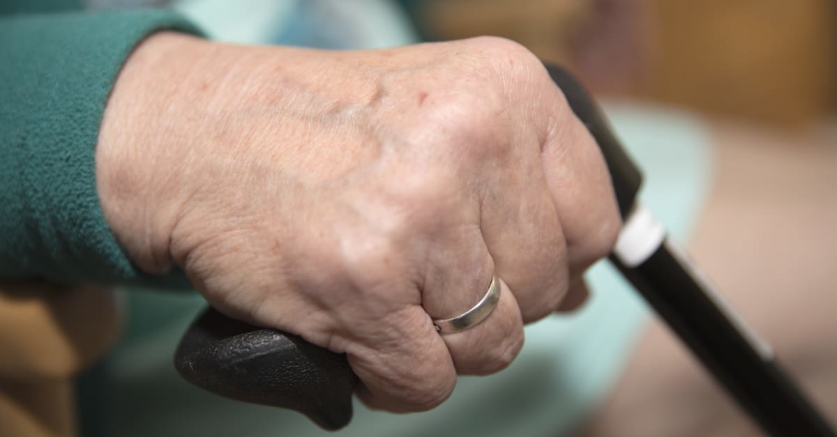 Brein Omgeving Methodiek