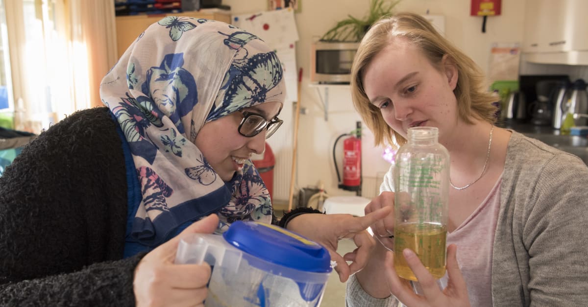 Protocollen Gehandicaptenzorg