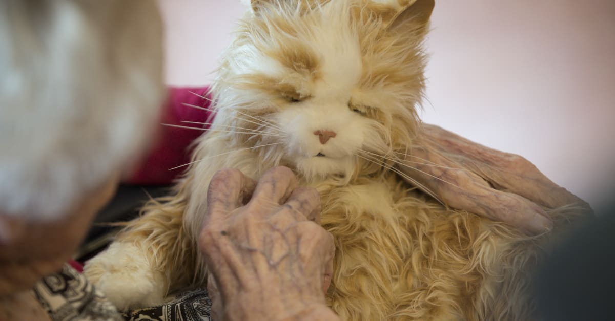 De robotkat houdt cliënten gezelschap